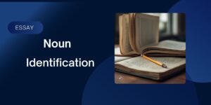 How To Identify A Noun In A Sentence